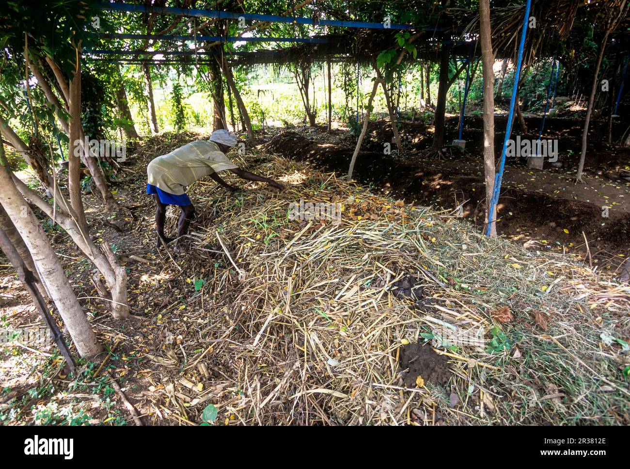 Farming india Banque de photographies et d’images à haute résolution ...