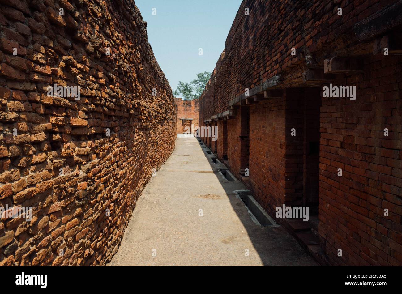 Nalanda university ruins Banque de photographies et d’images à haute ...