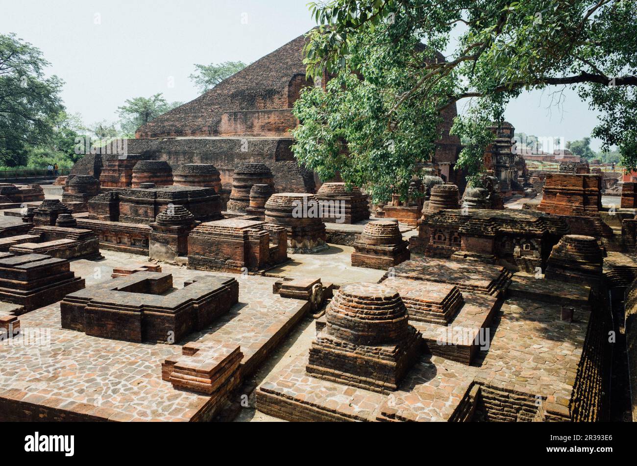 Nalanda university ruins Banque de photographies et d’images à haute ...