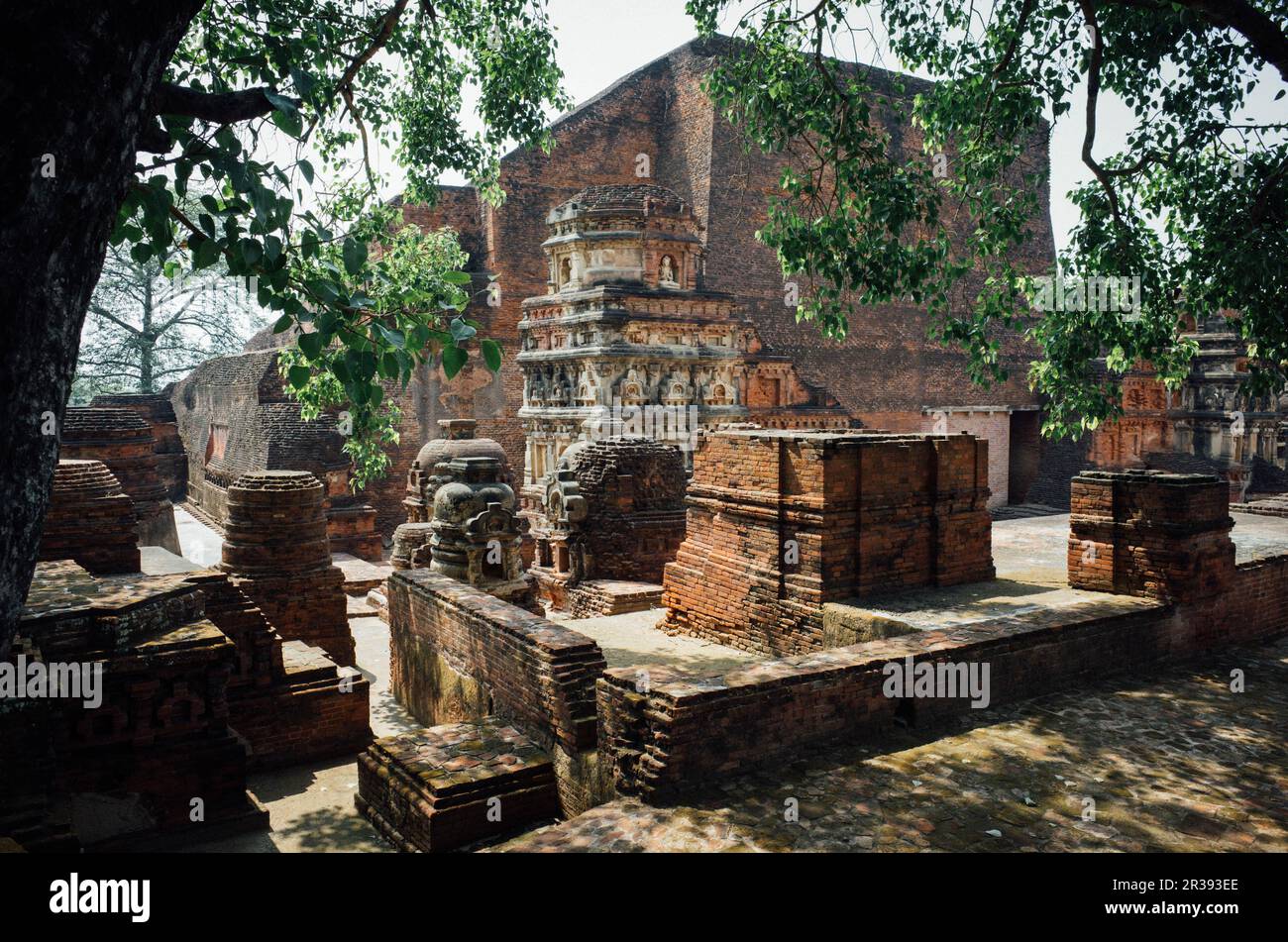 Nalanda ruins Banque de photographies et d’images à haute résolution ...