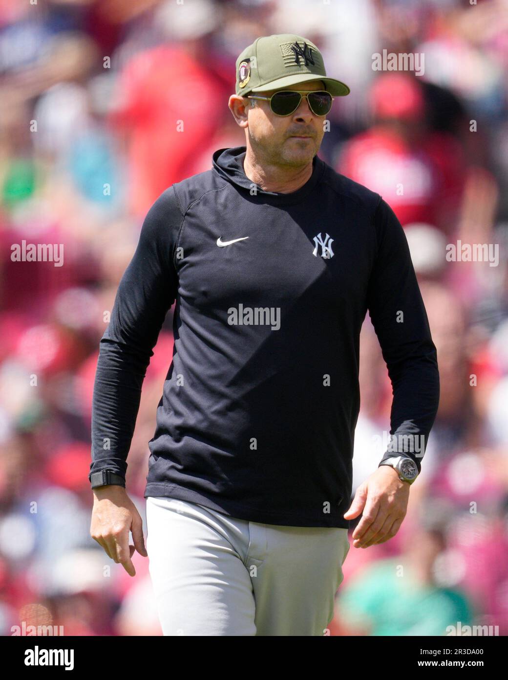 New York Yankees' manager Aaron Boone reacts after being ejected during ...