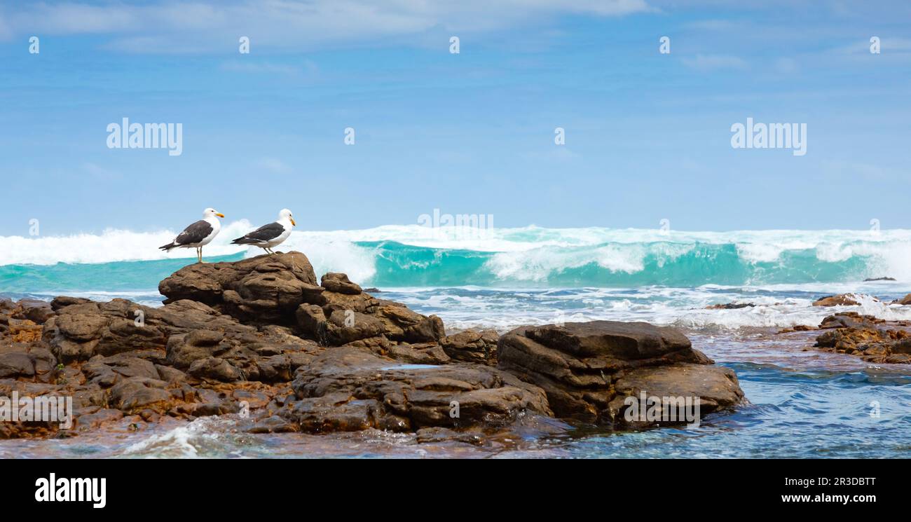 Paire assise sur un rocher Banque de photographies et d’images à haute ...