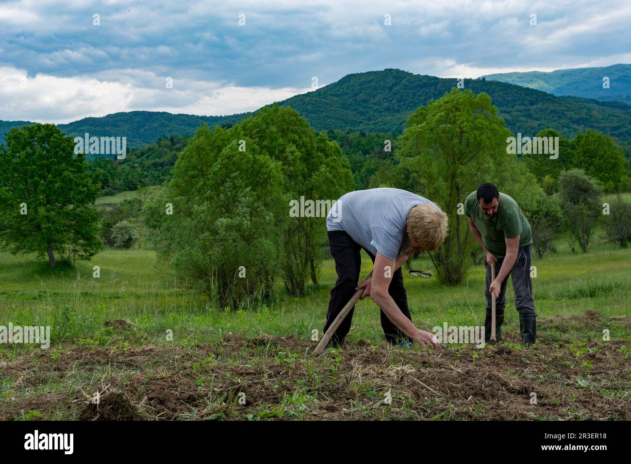 Une femme et un homme qui s'archigne dans le champ et qui élimine les ...