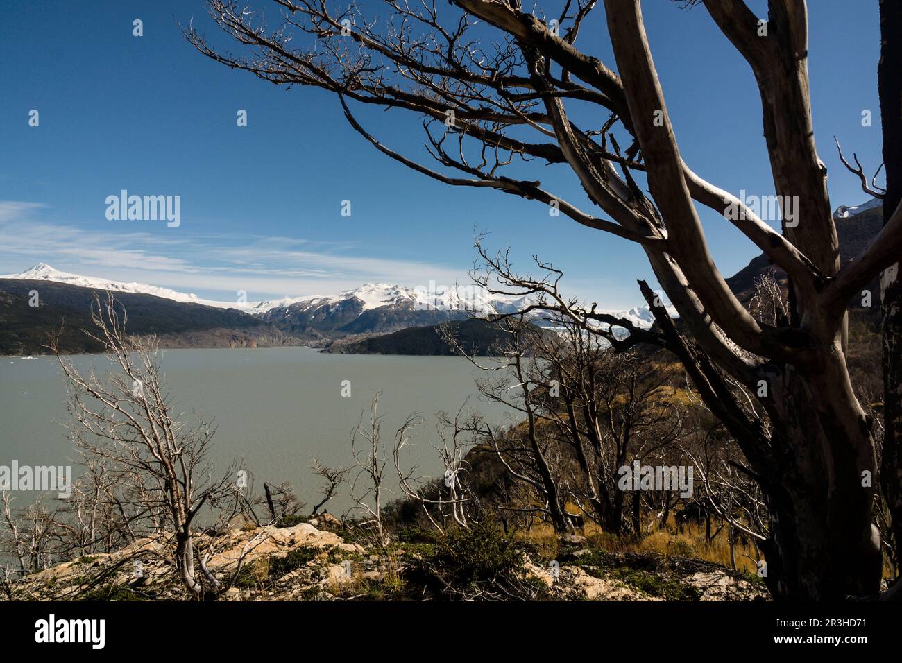 Valle del lago Grey, trekking W, Parque Nacional Torres del Paine ...