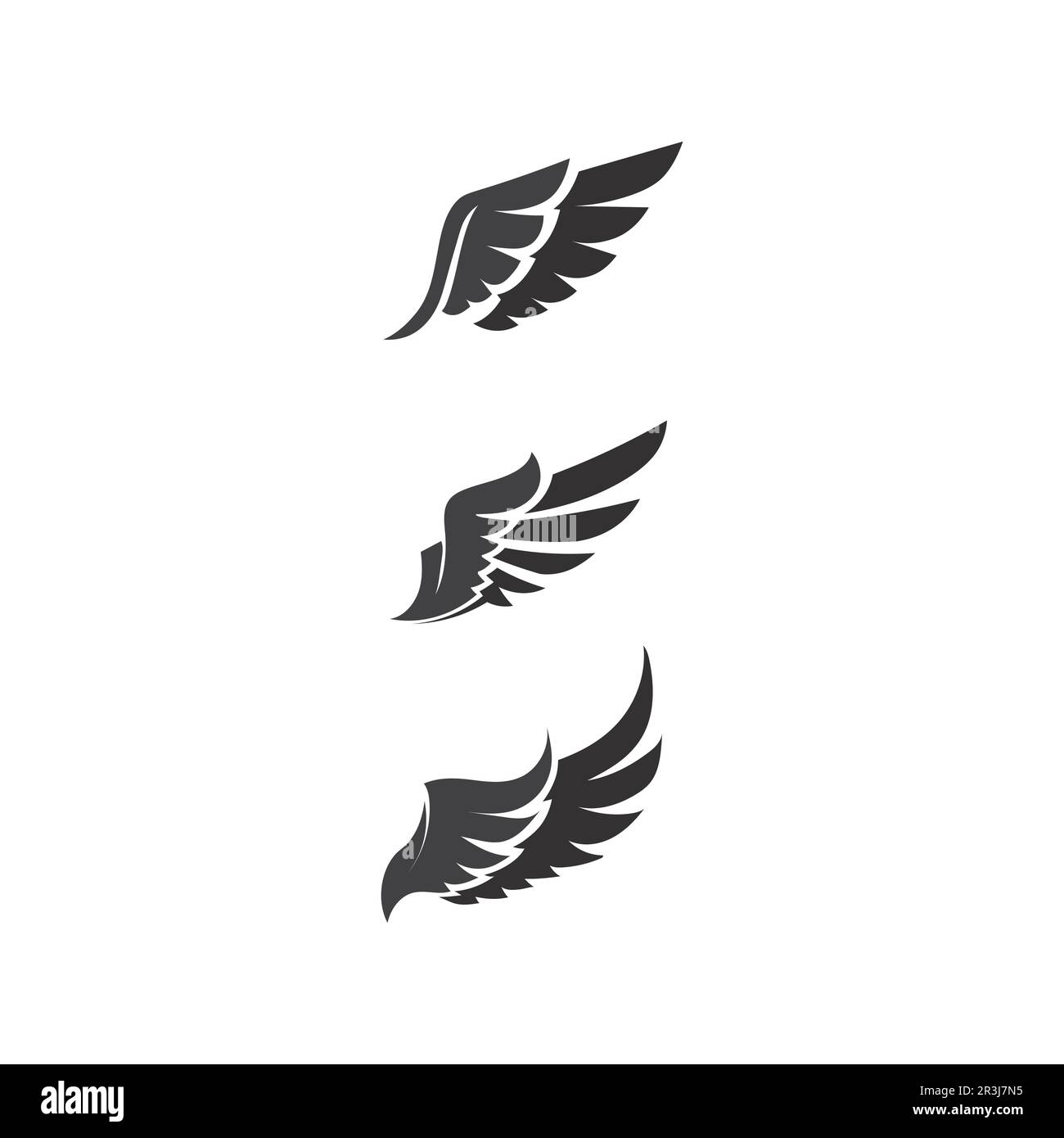 Logo des ailes Business et design animal ailes Vector Fast Bird symbole ...