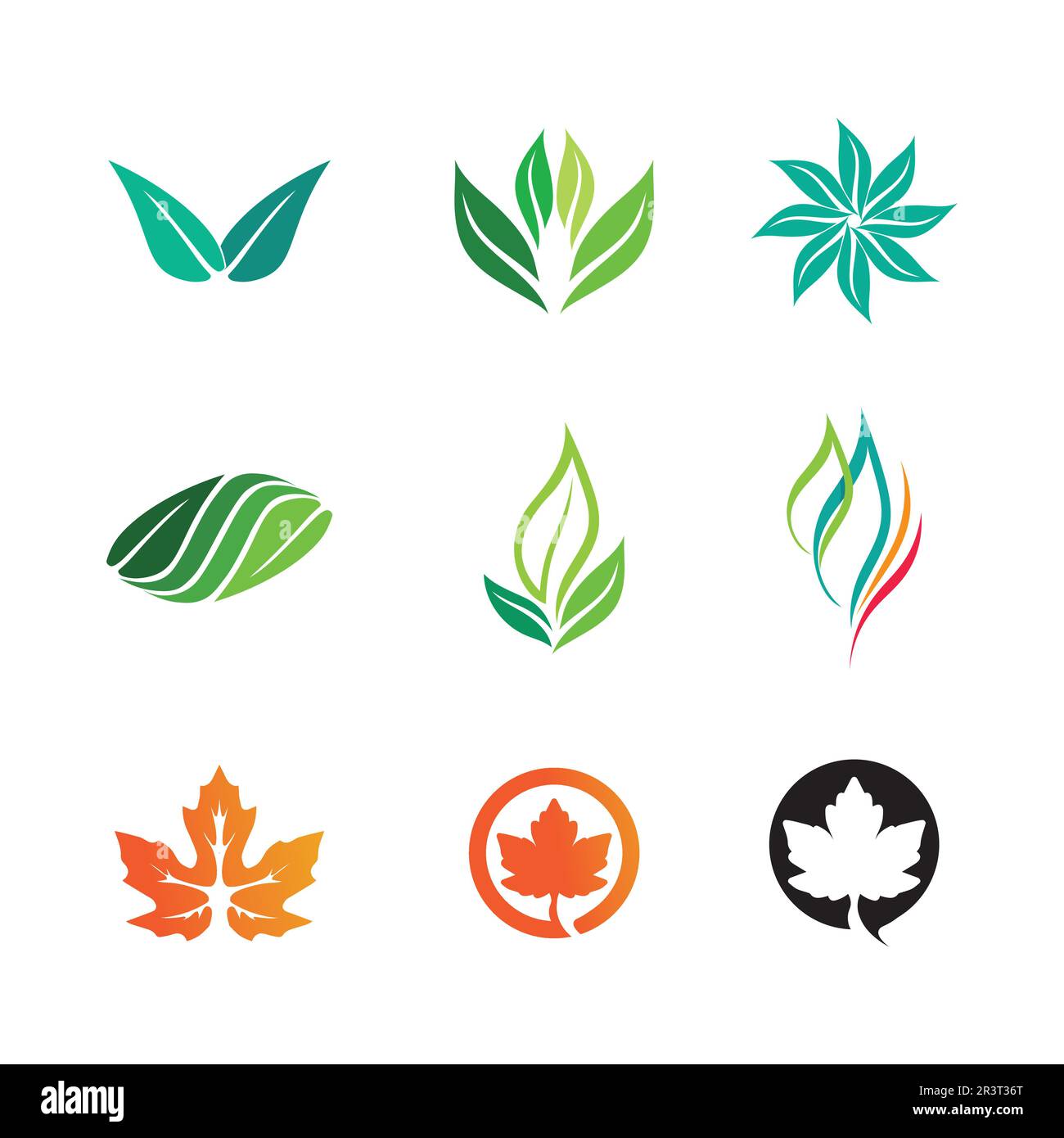 Modèle de concept de logo de semences Vector.growing logo de semences ...