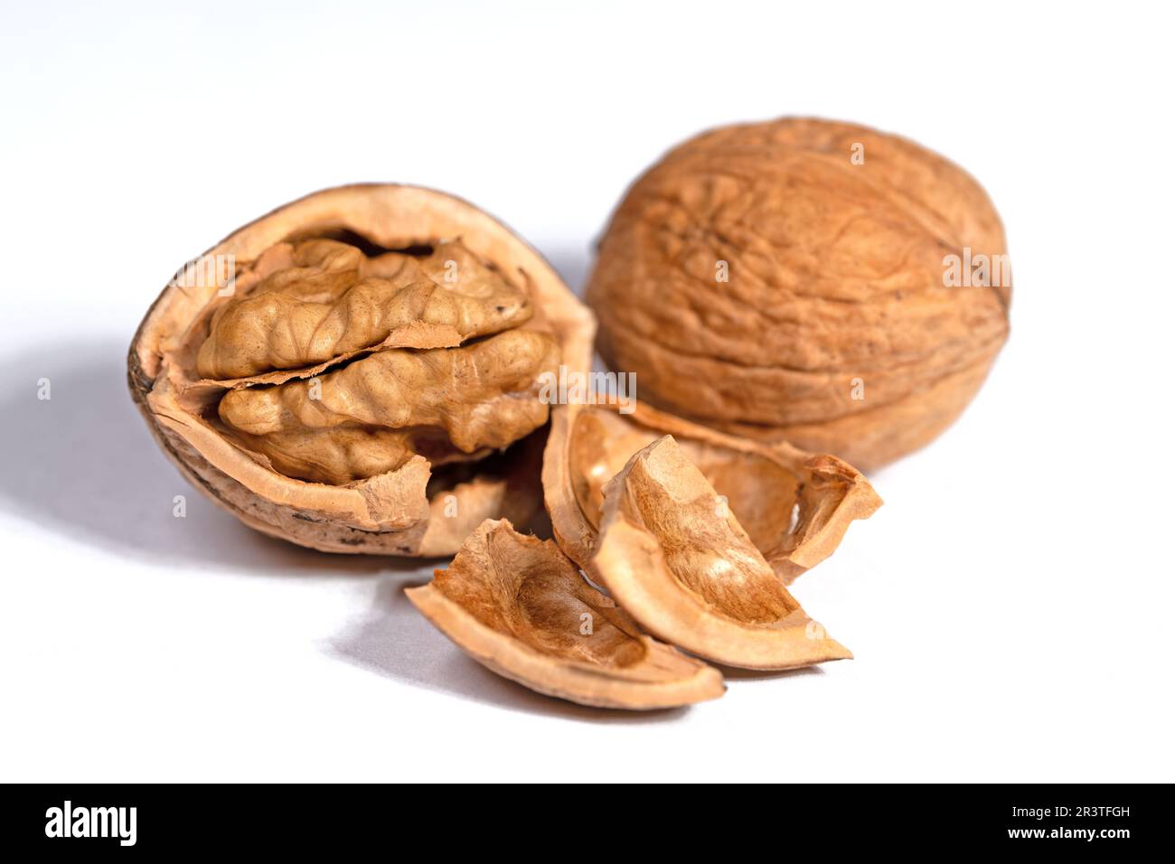 Coquilles de noix Banque de photographies et d’images à haute ...