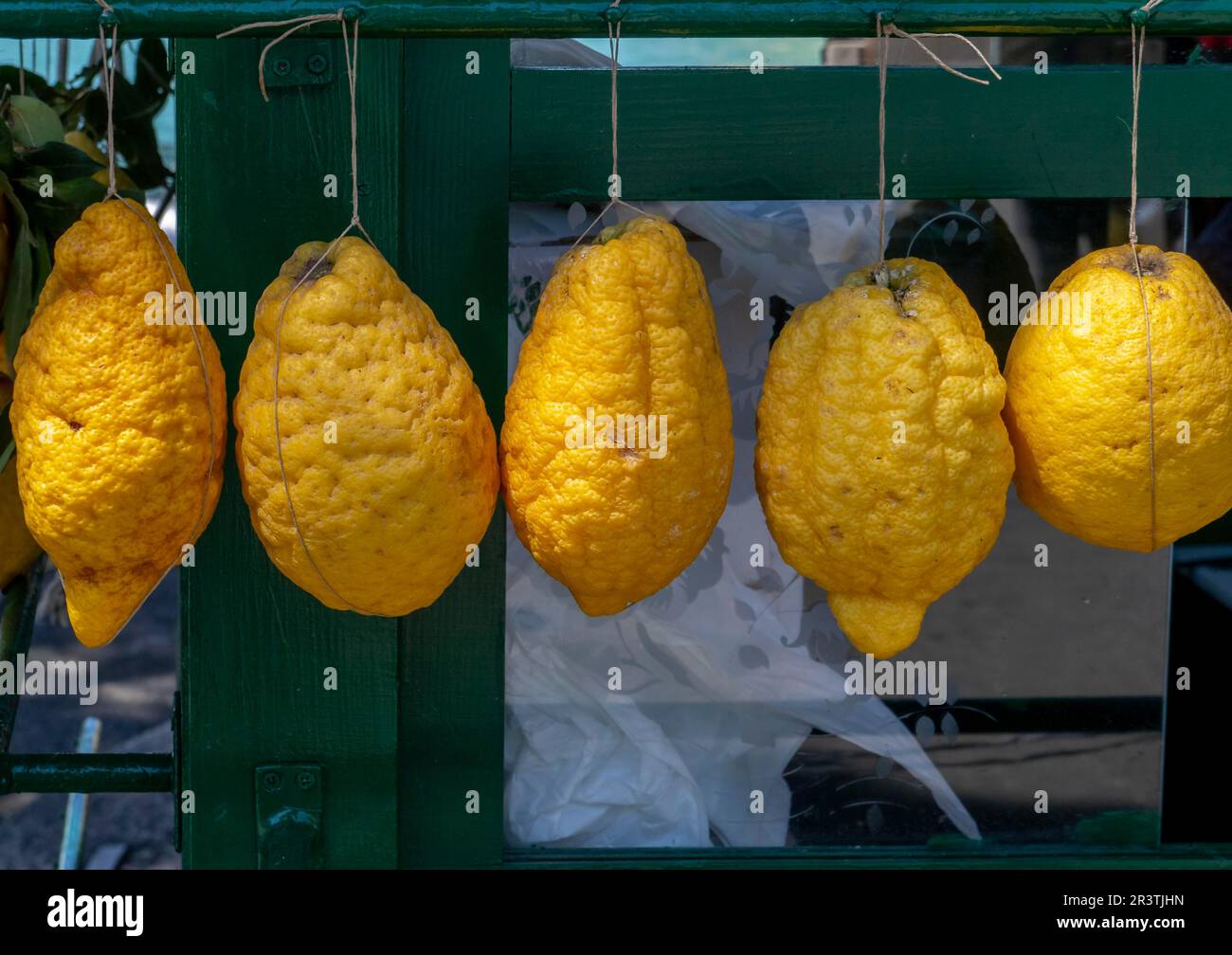 Citrus species Banque de photographies et d’images à haute résolution ...