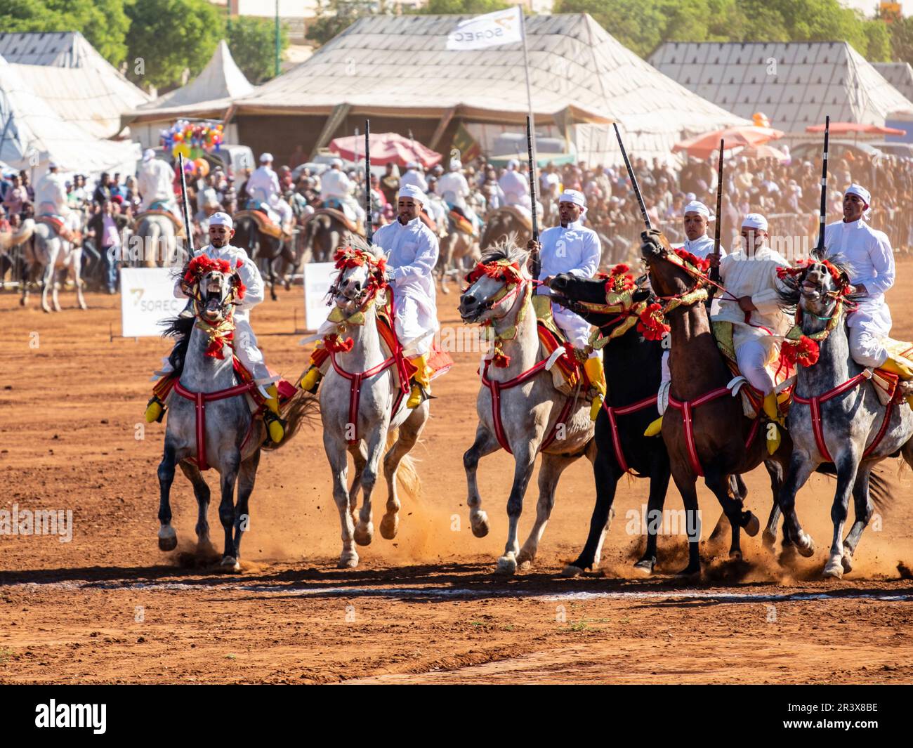 Tbourida équestre Banque de photographies et d’images à haute ...