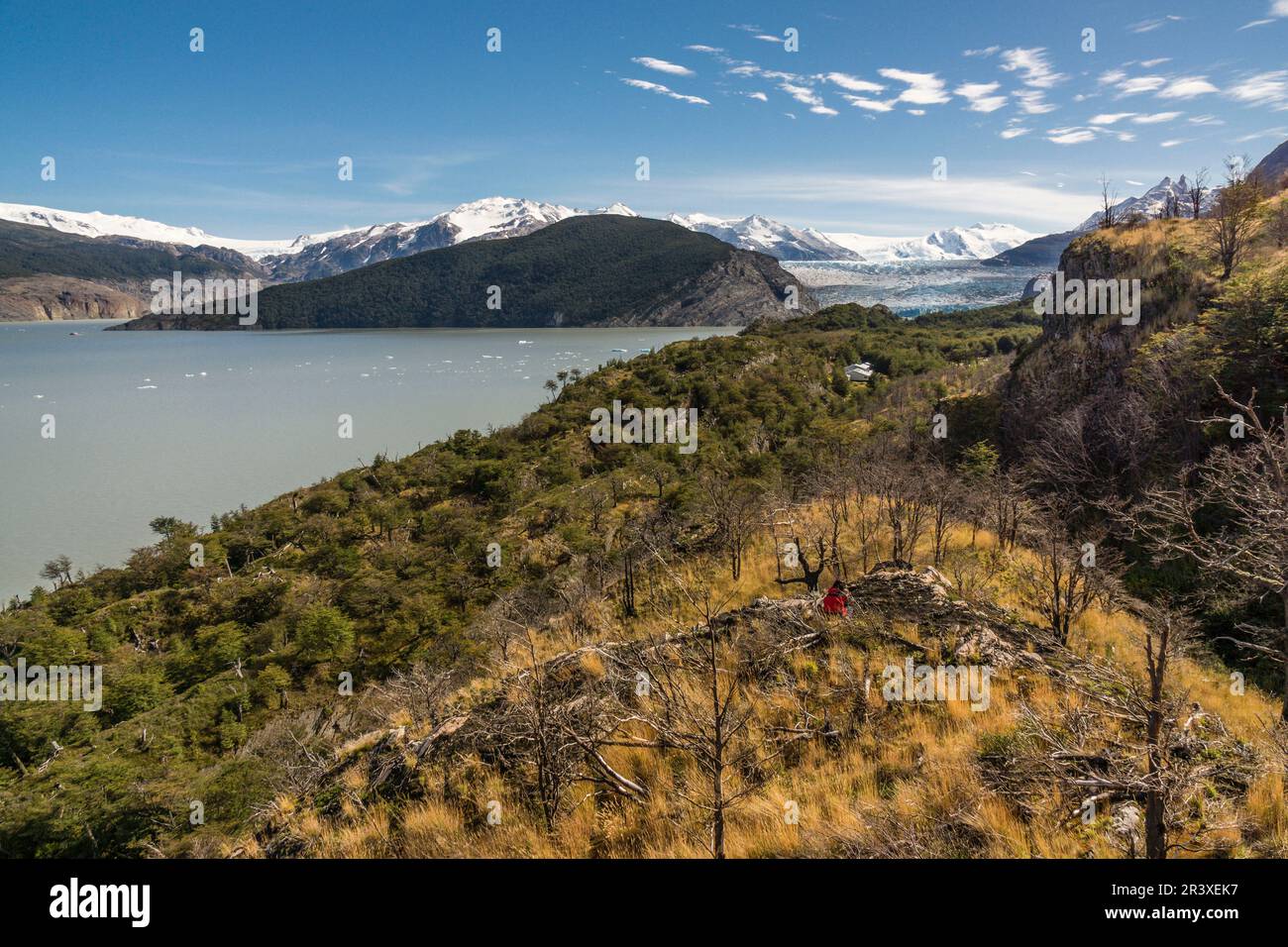 refugio y glaciar Grey, valle del lago Grey, trekking W, Parque ...