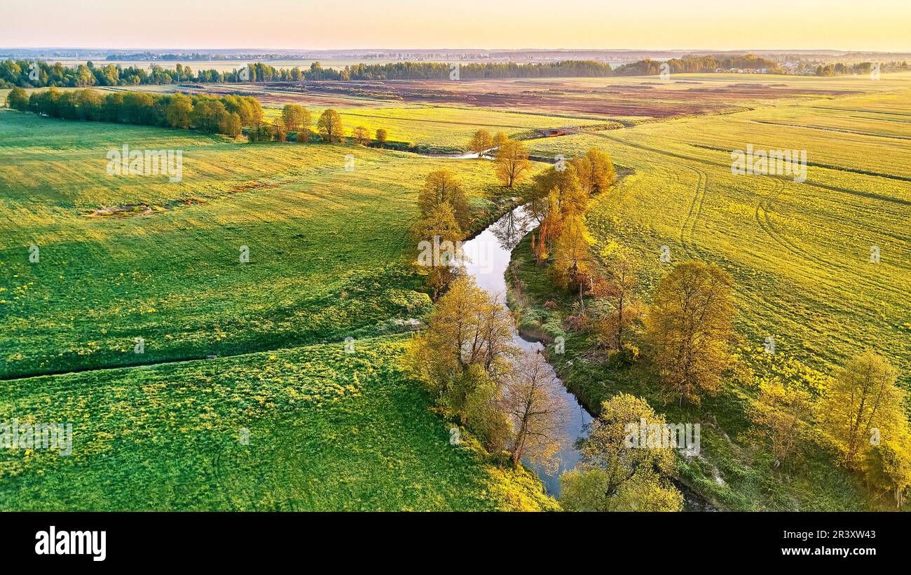 Champ de colza vue aérienne au printemps Banque de photographies et d ...