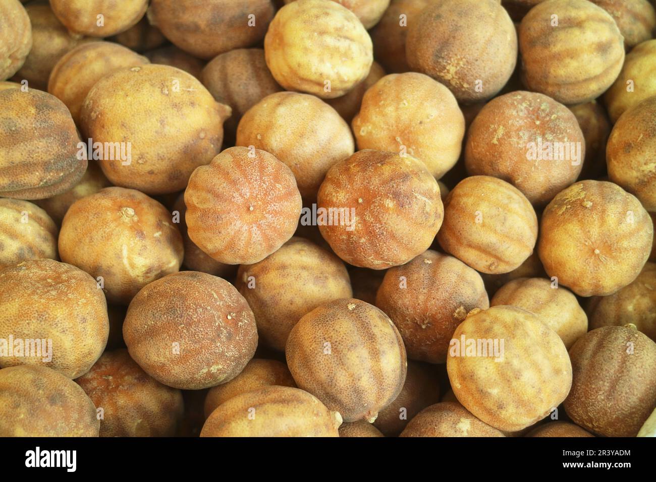 Limoo amani Banque de photographies et d’images à haute résolution - Alamy