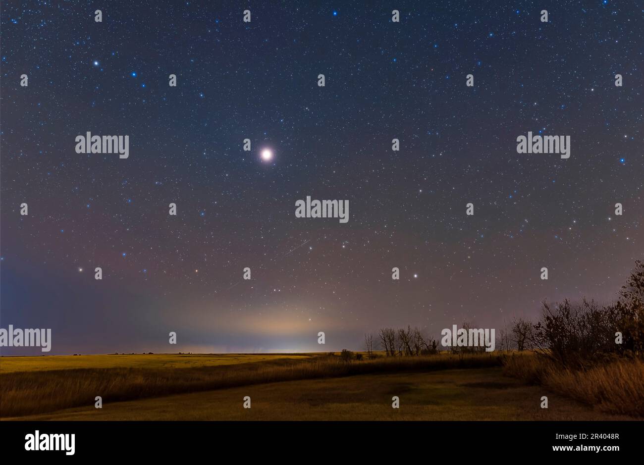 Mars mira Banque de photographies et d’images à haute résolution - Alamy