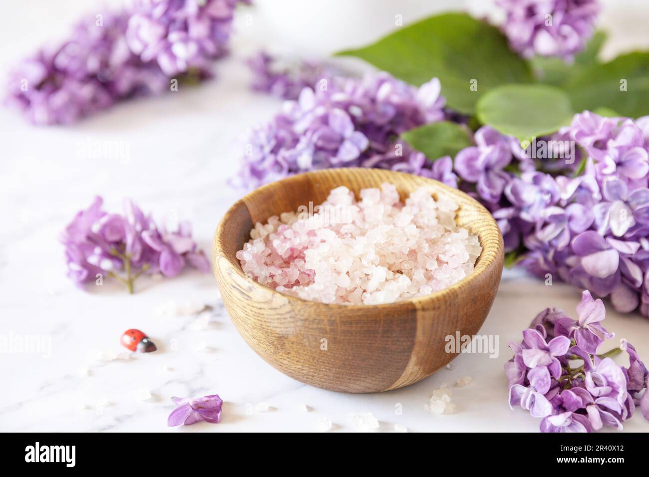 Lilas de mer Banque de photographies et d’images à haute résolution - Alamy