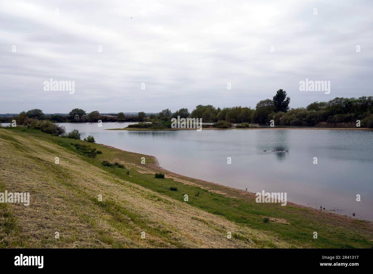 La scène à la réserve naturelle de High Eske, à Tickton, dans le ...