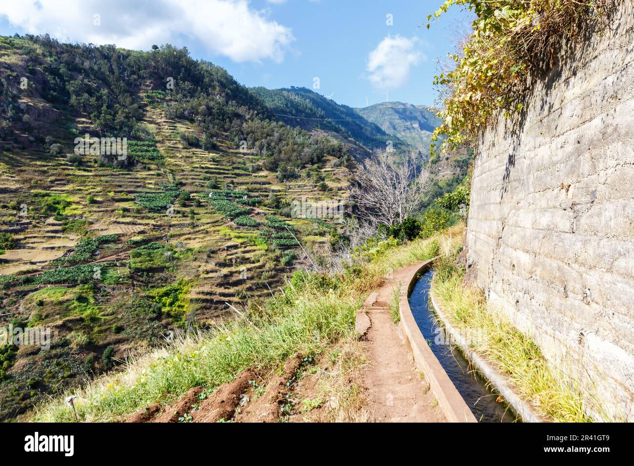 Sentier de randonnée le long de Levada Nova randonnée sur l'île de ...