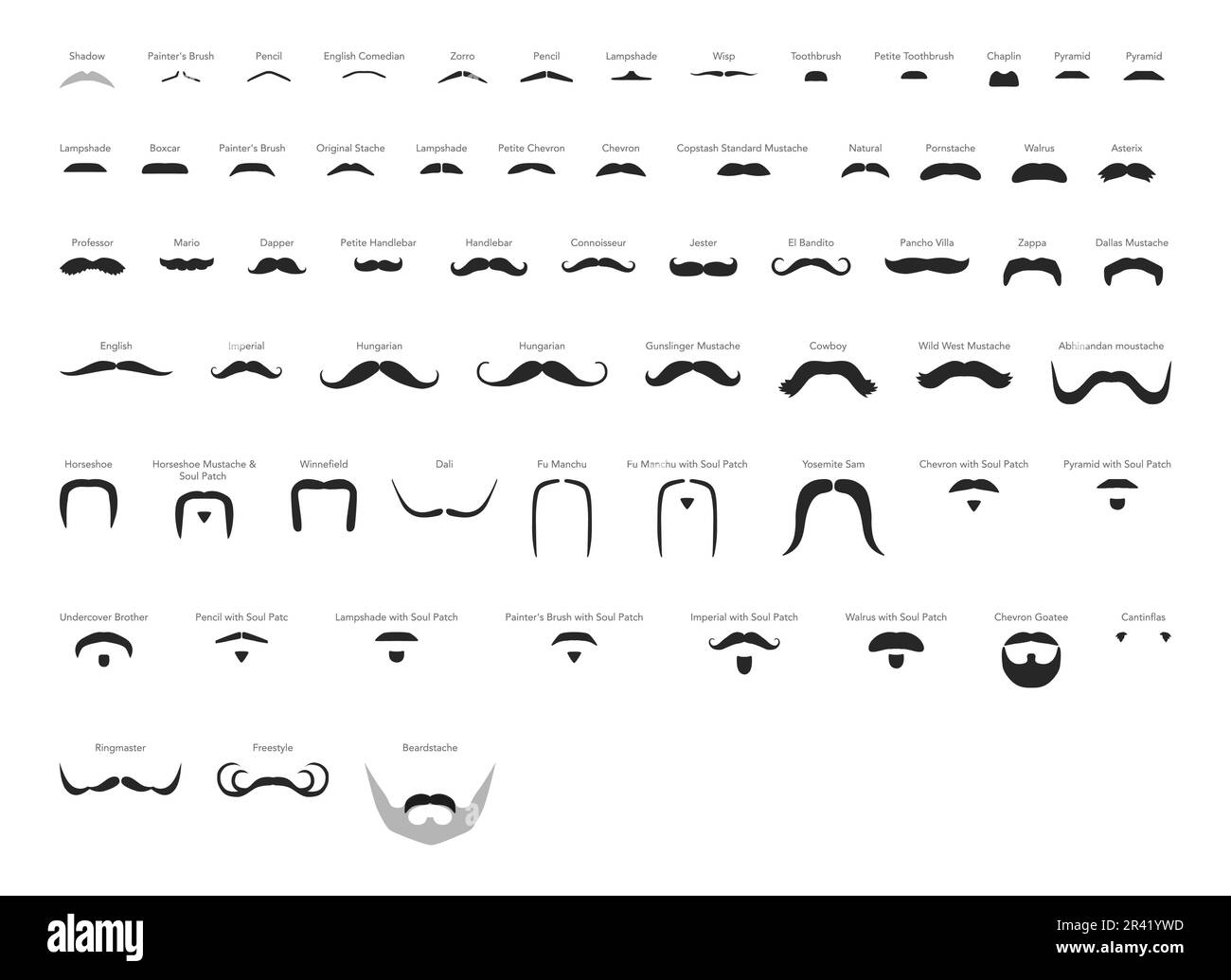 Ensemble de moustaches hommes avec le nom style de texte illustration ...