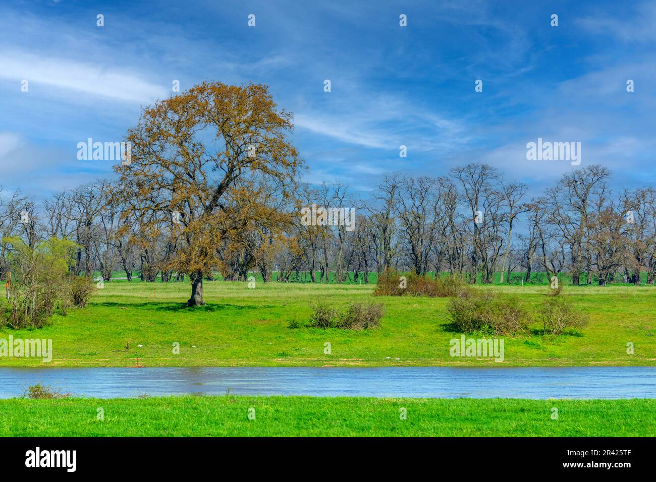 Elbe meadows Banque de photographies et d’images à haute résolution - Alamy