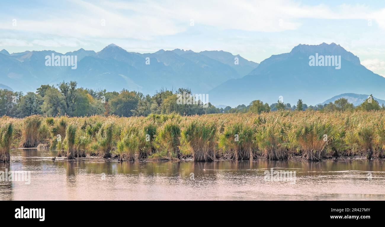 Delta du rhin Banque de photographies et d’images à haute résolution ...
