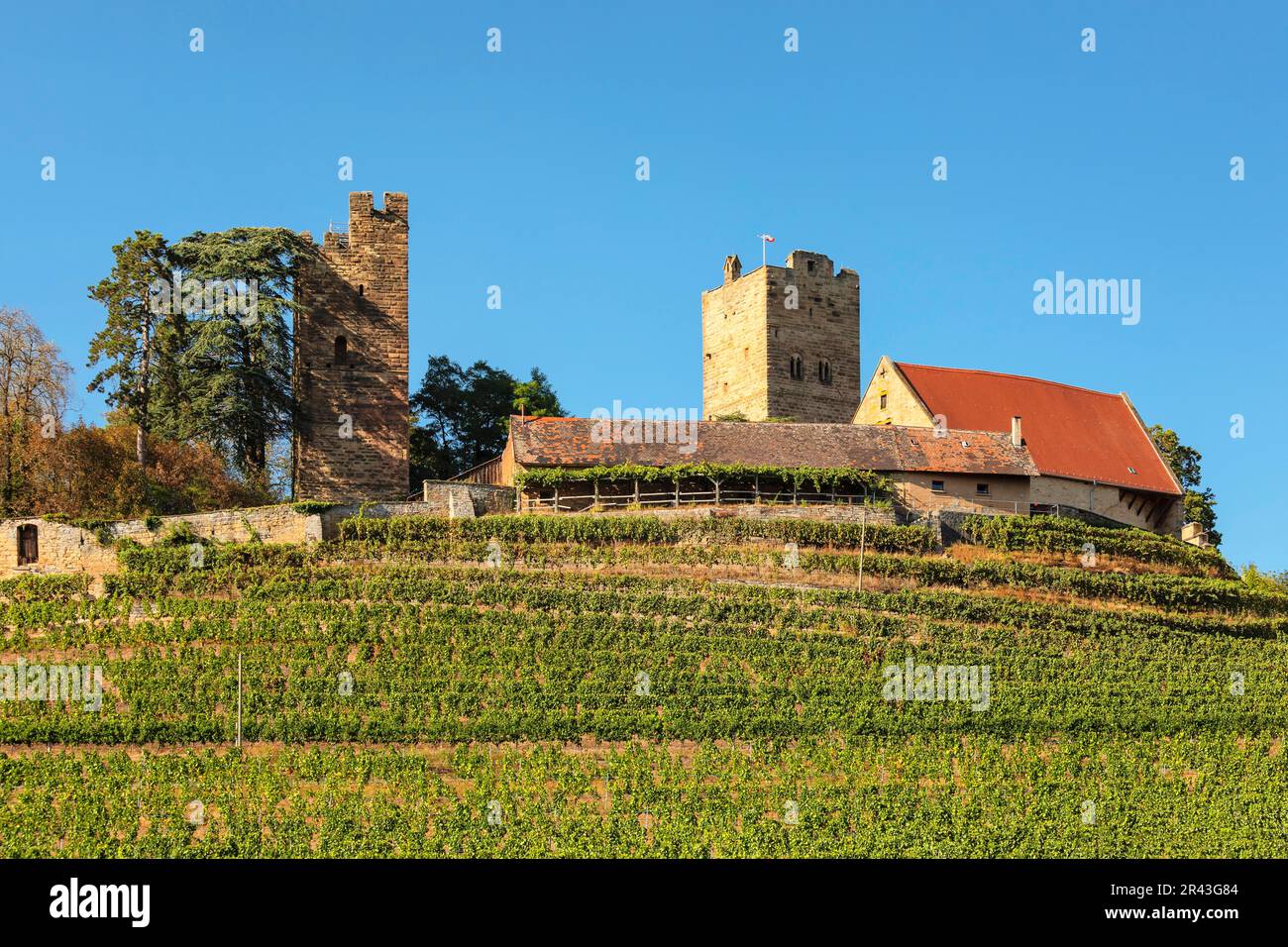 Château de Neipperg, quartier de Brackenheim, route des vins du ...