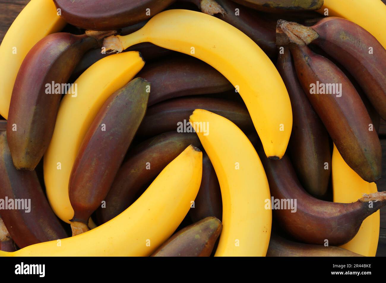 Différents types de bananes comme arrière-plan, vue de dessus Photo ...