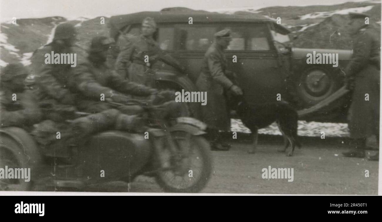 Gunter Alquen (Leibstandarte Adolf Hitler, Grèce 1941), un photographe ...