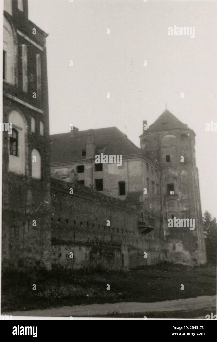 Gunter Alquen (Leibstandarte Adolf Hitler, Grèce 1941), un photographe ...