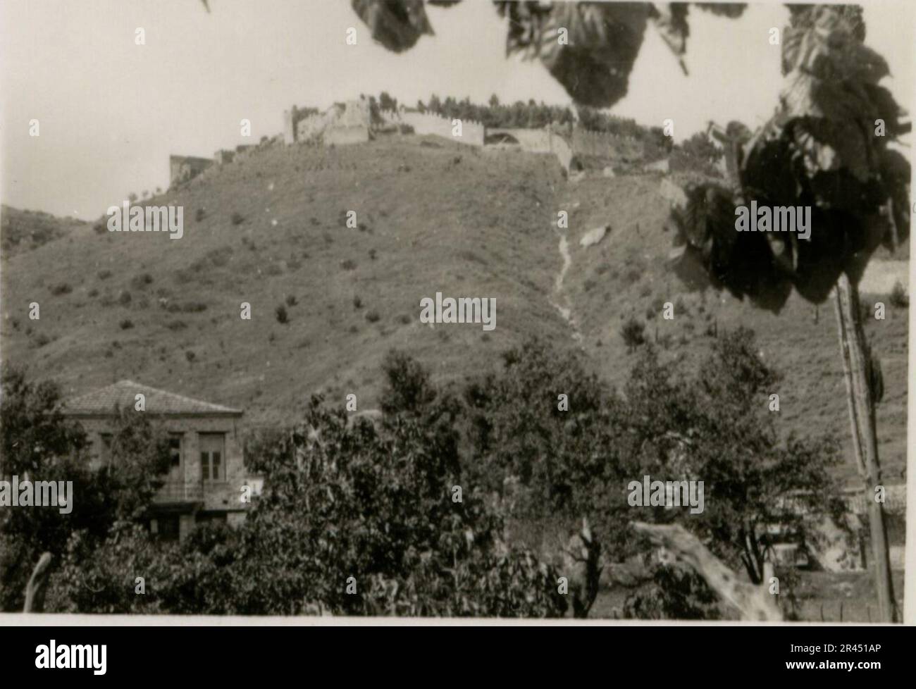 Gunter Alquen (Leibstandarte Adolf Hitler, Grèce 1941), un photographe ...