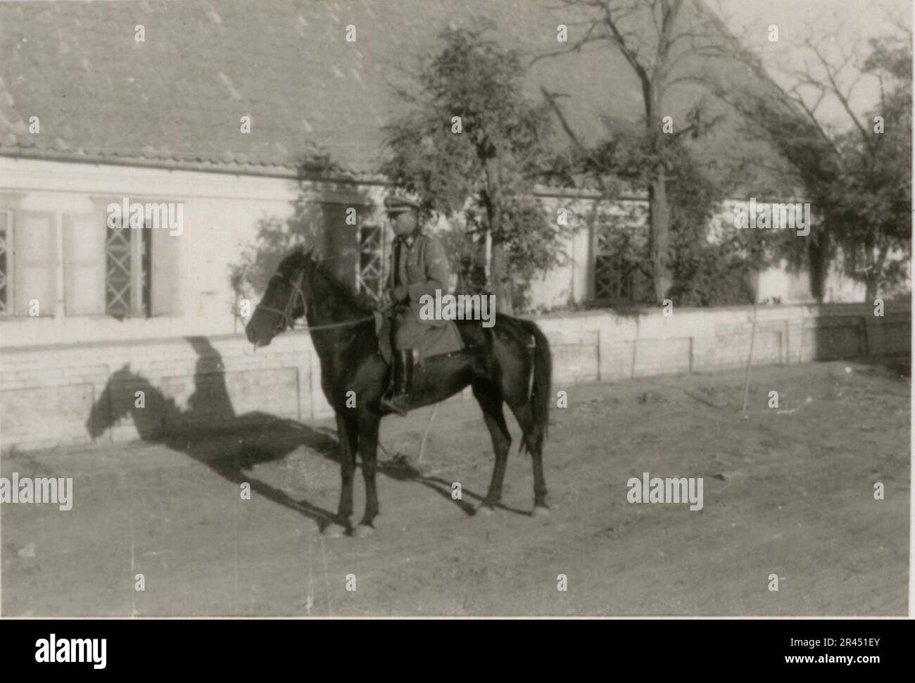 Gunter Alquen (Leibstandarte Adolf Hitler, Grèce 1941), un photographe ...