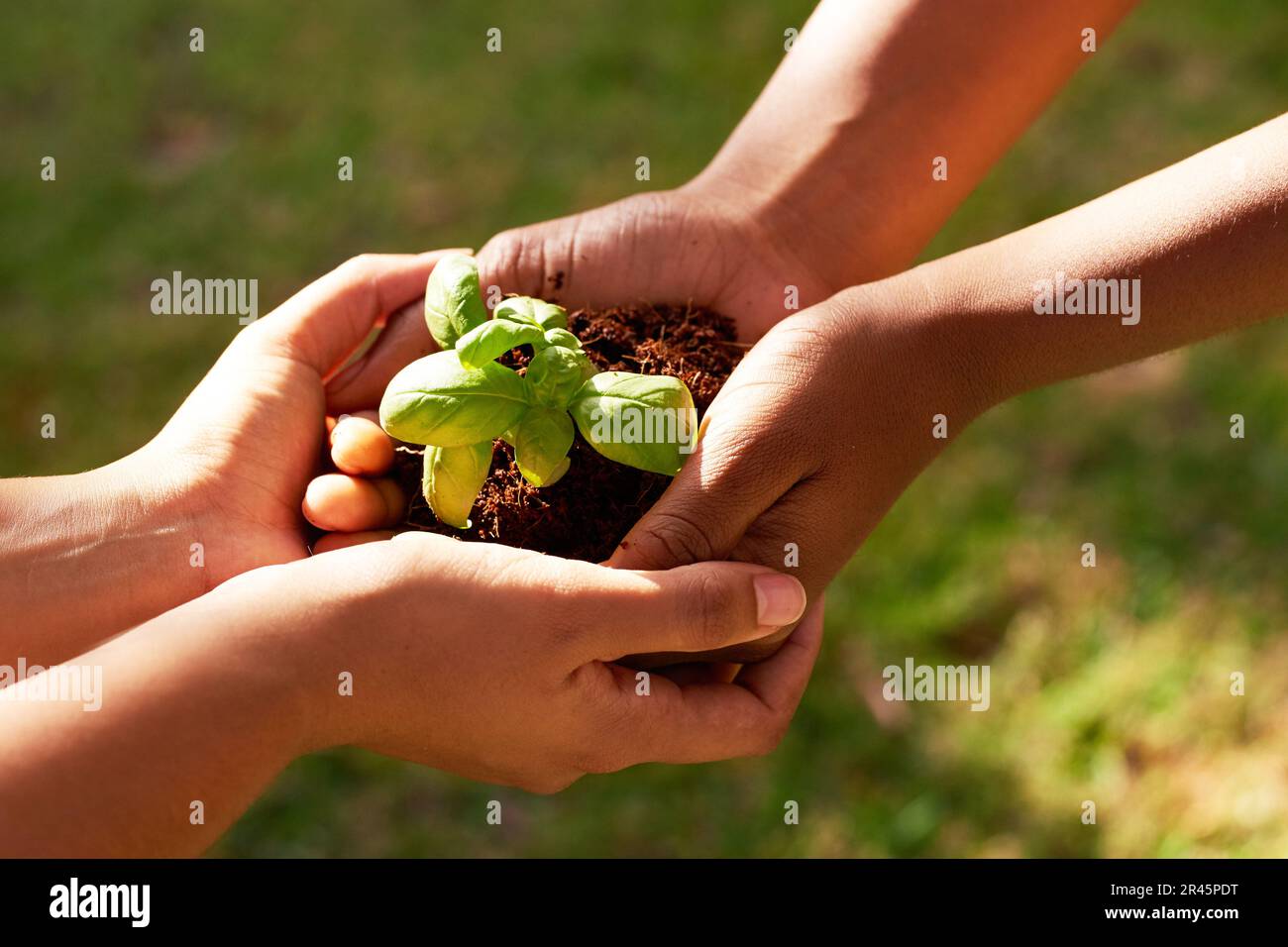 Deux femmes qui tiennent une jeune plantule, jour de la Terre, plantent ...