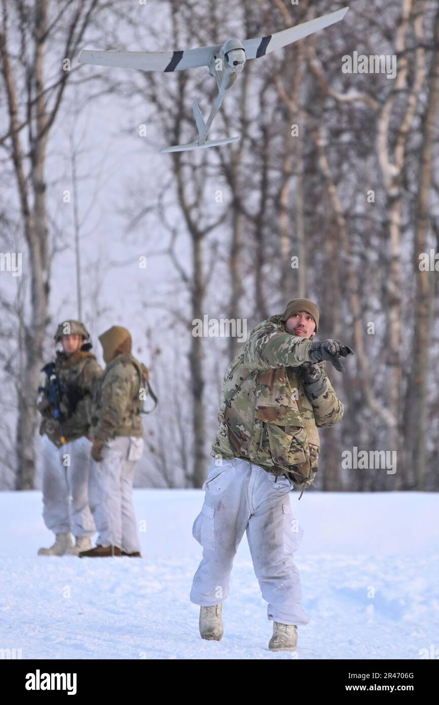 1st squadron 40th cavalry regiment Banque de photographies et d’images ...