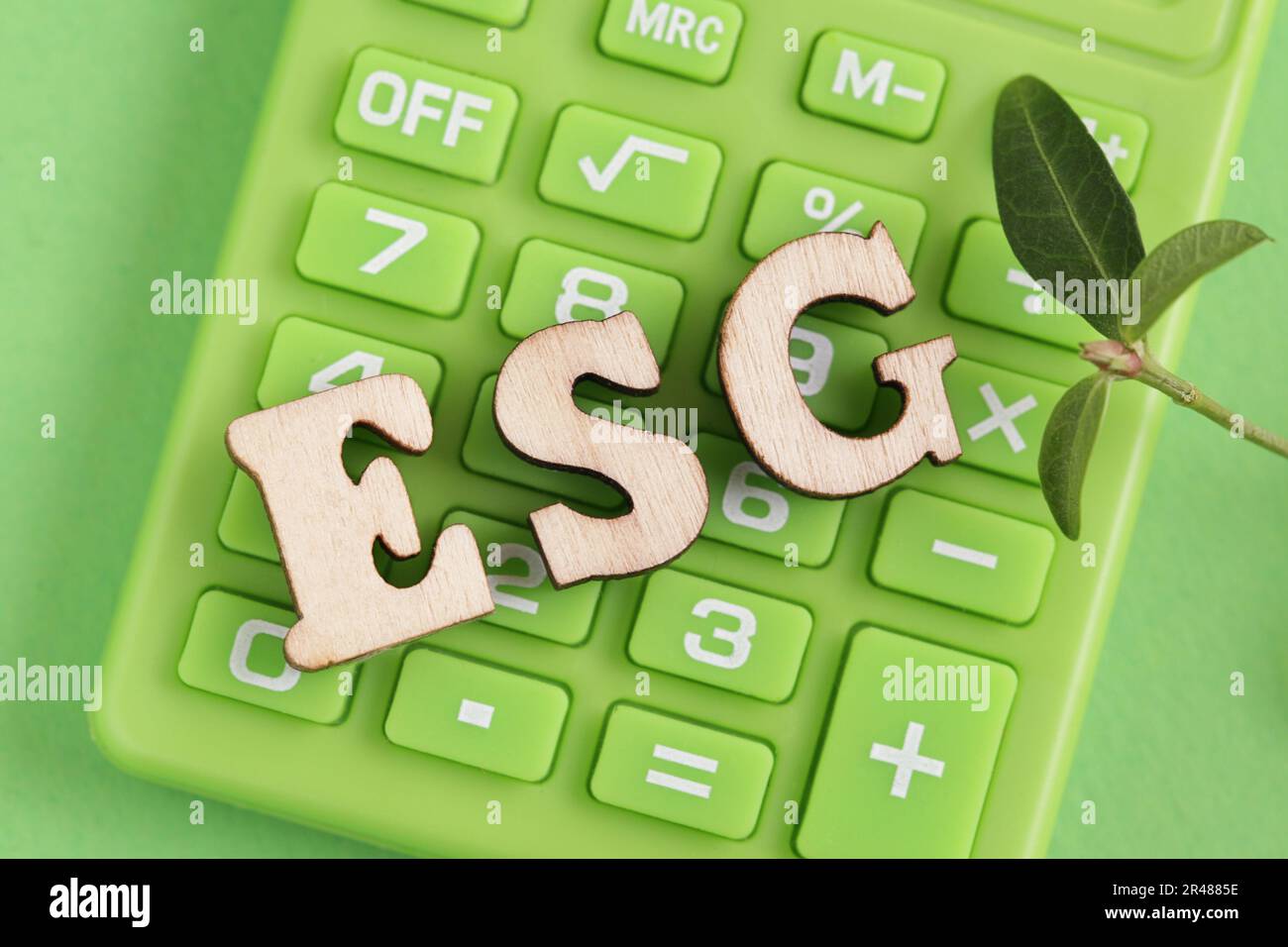 Calculatrice verte, lettre en bois ESG, plante fraîche. Environnement ...