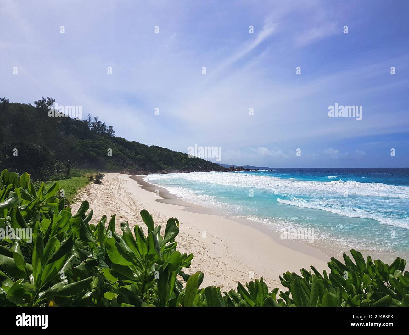 Une superbe plage de sable blanc entourée d'une végétation luxuriante ...
