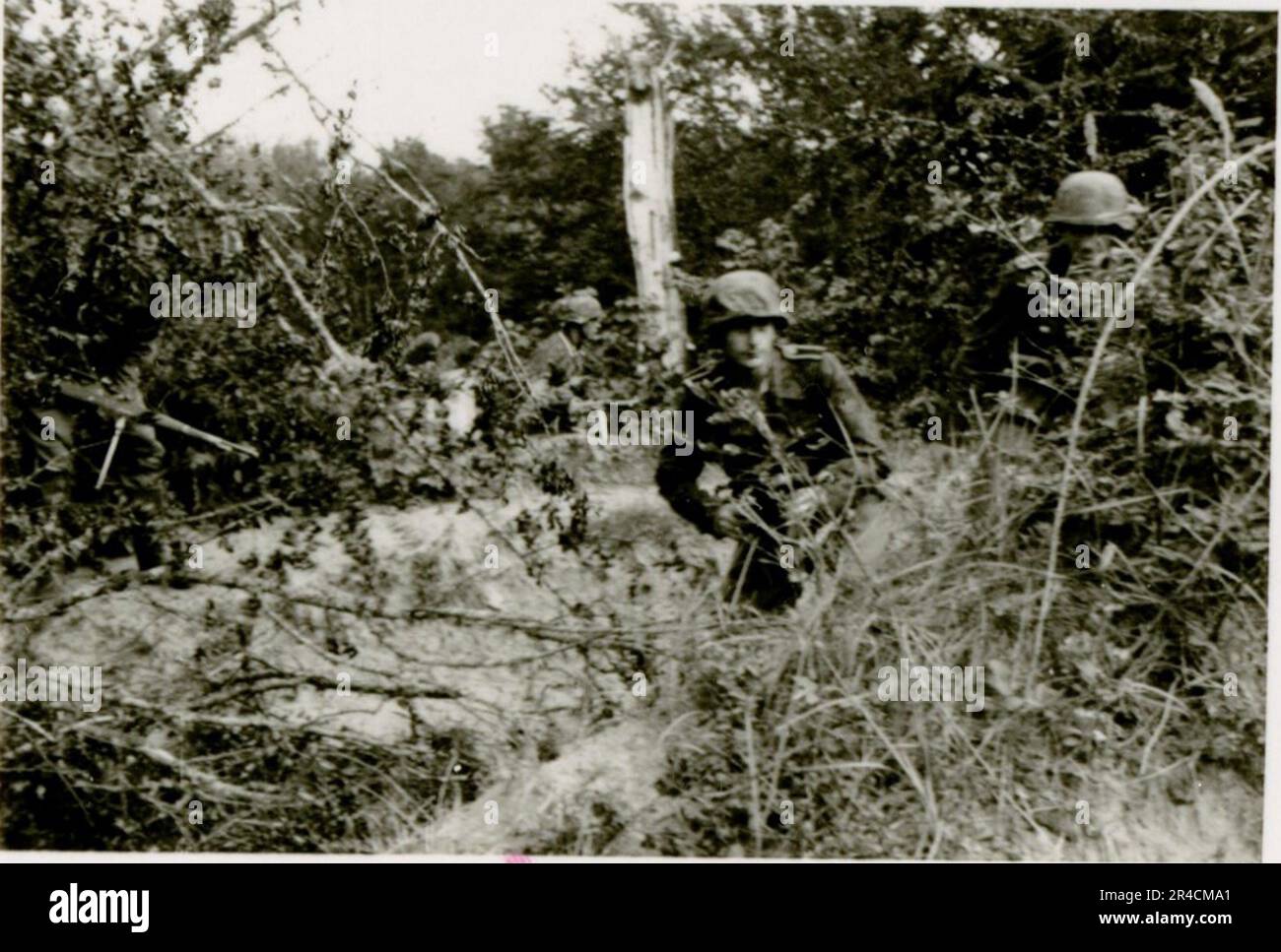SS photographe Willi Altstadt, Division Wiking, Russie 1942. Scènes de ...