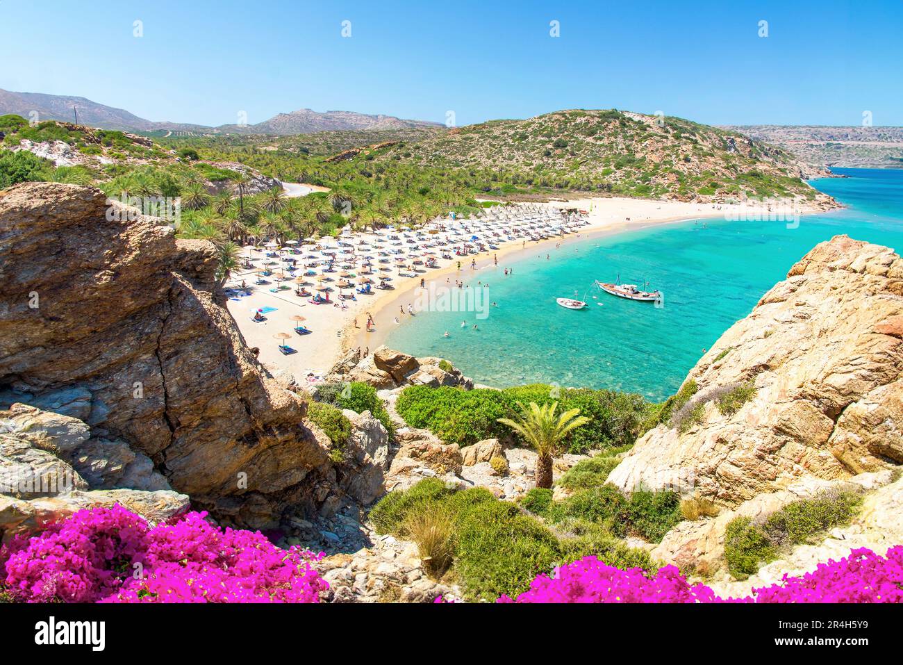 Plage de palmiers de vai Banque de photographies et d’images à haute ...
