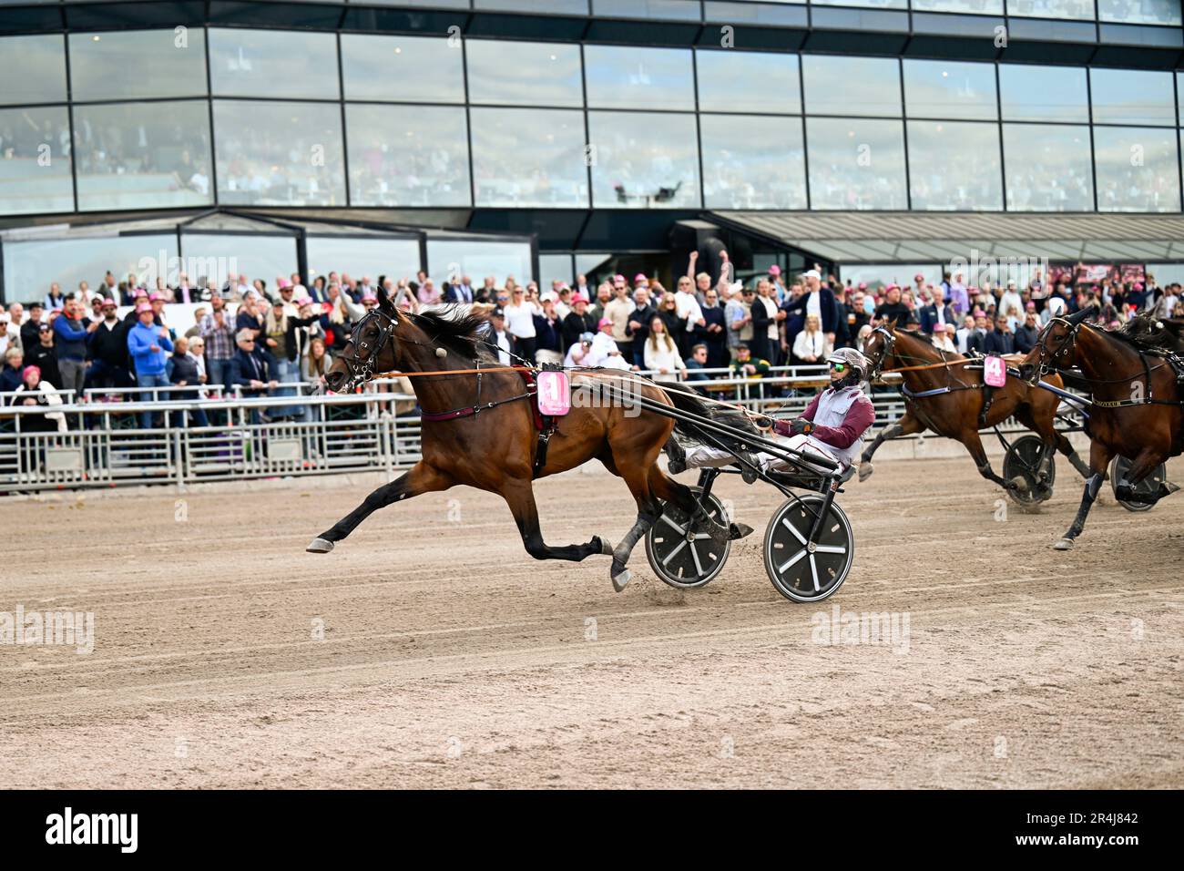 Le cheval français Hohneck avec le pilote Gabriele Gelormini a remporté ...