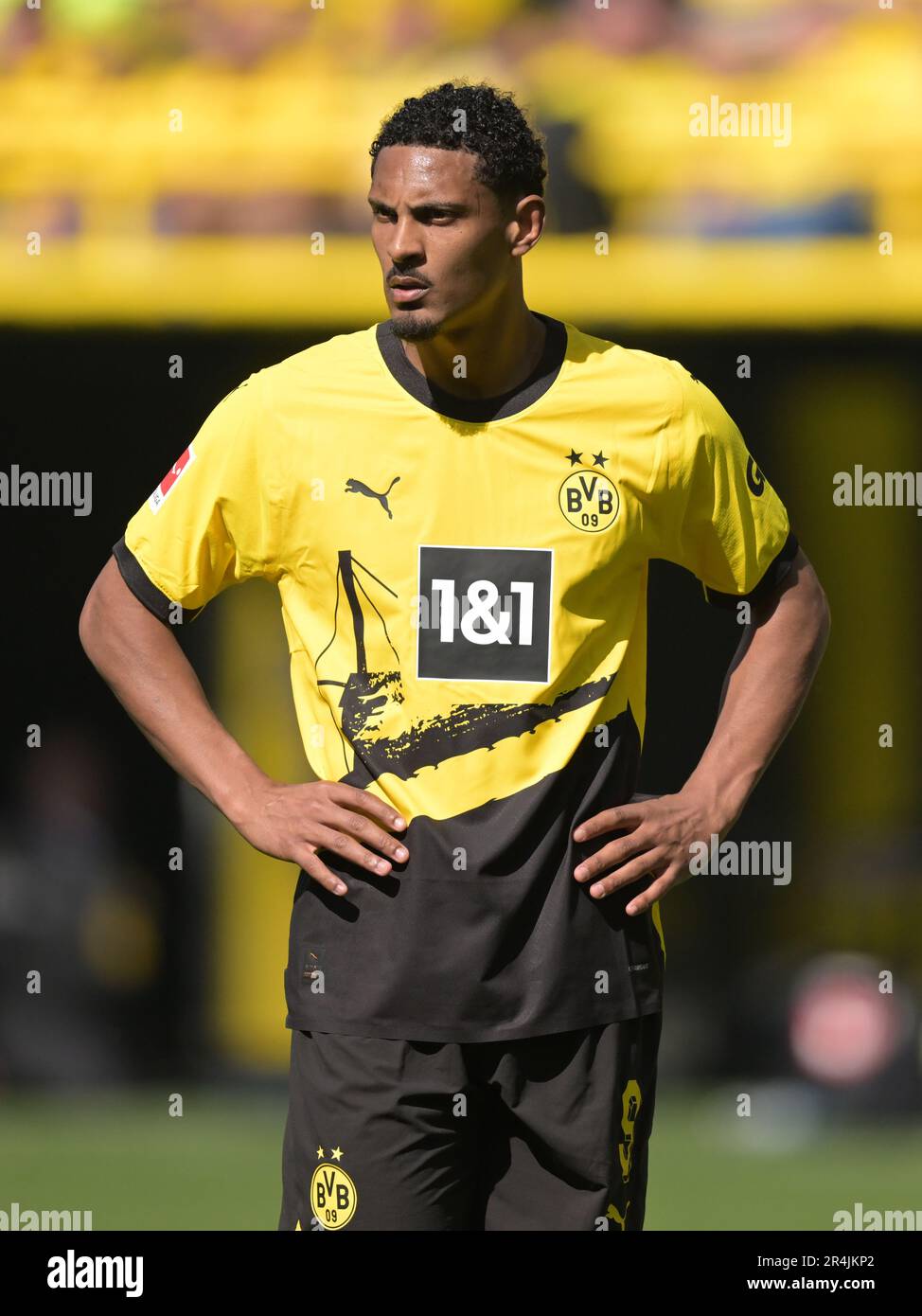 DORTMUND - Sébastien Haller de Borussia Dortmund pendant le match de ...