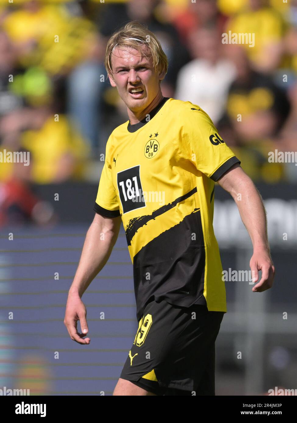 DORTMUND - Julian Brandt de Borussia Dortmund pendant le match de ...