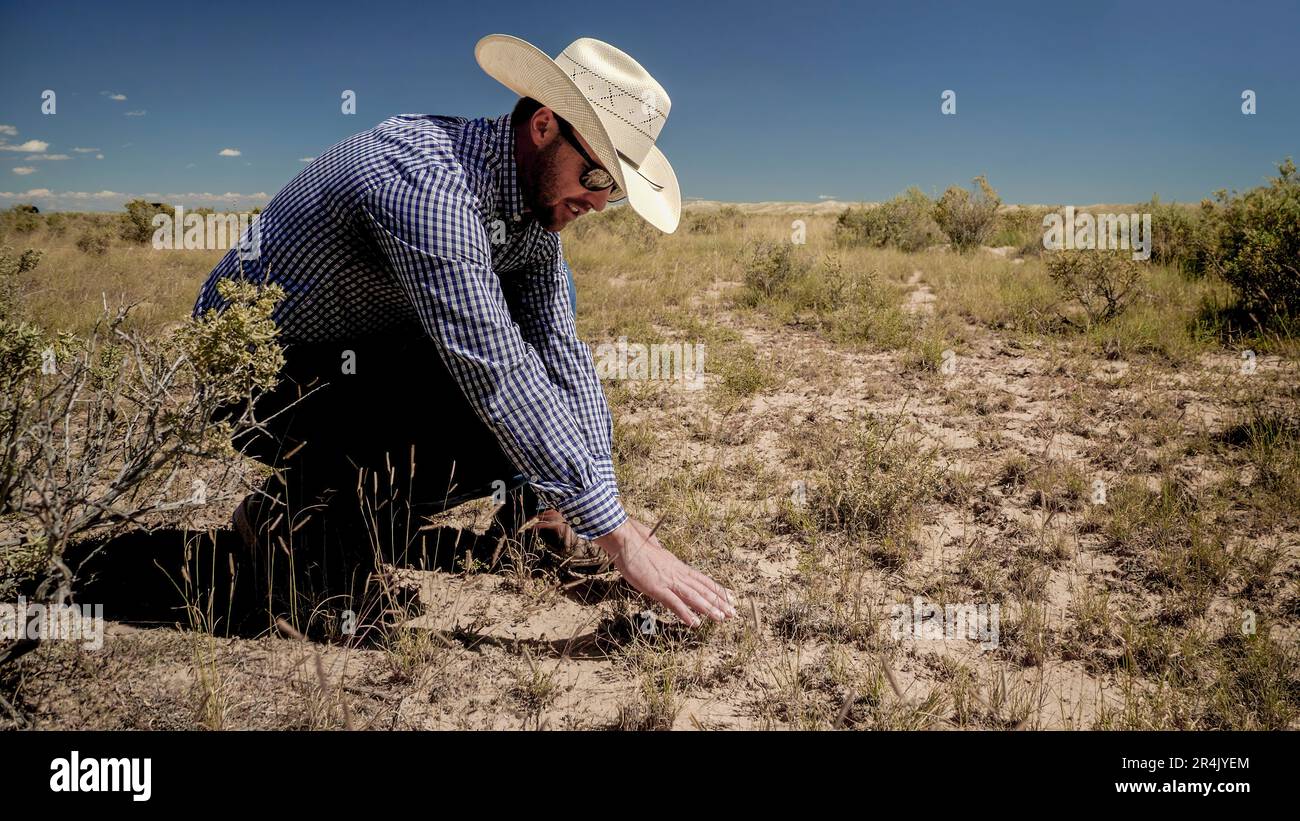 Clayton Gardner élève du bétail sur 777 Ranch dans le comté de Torrance ...