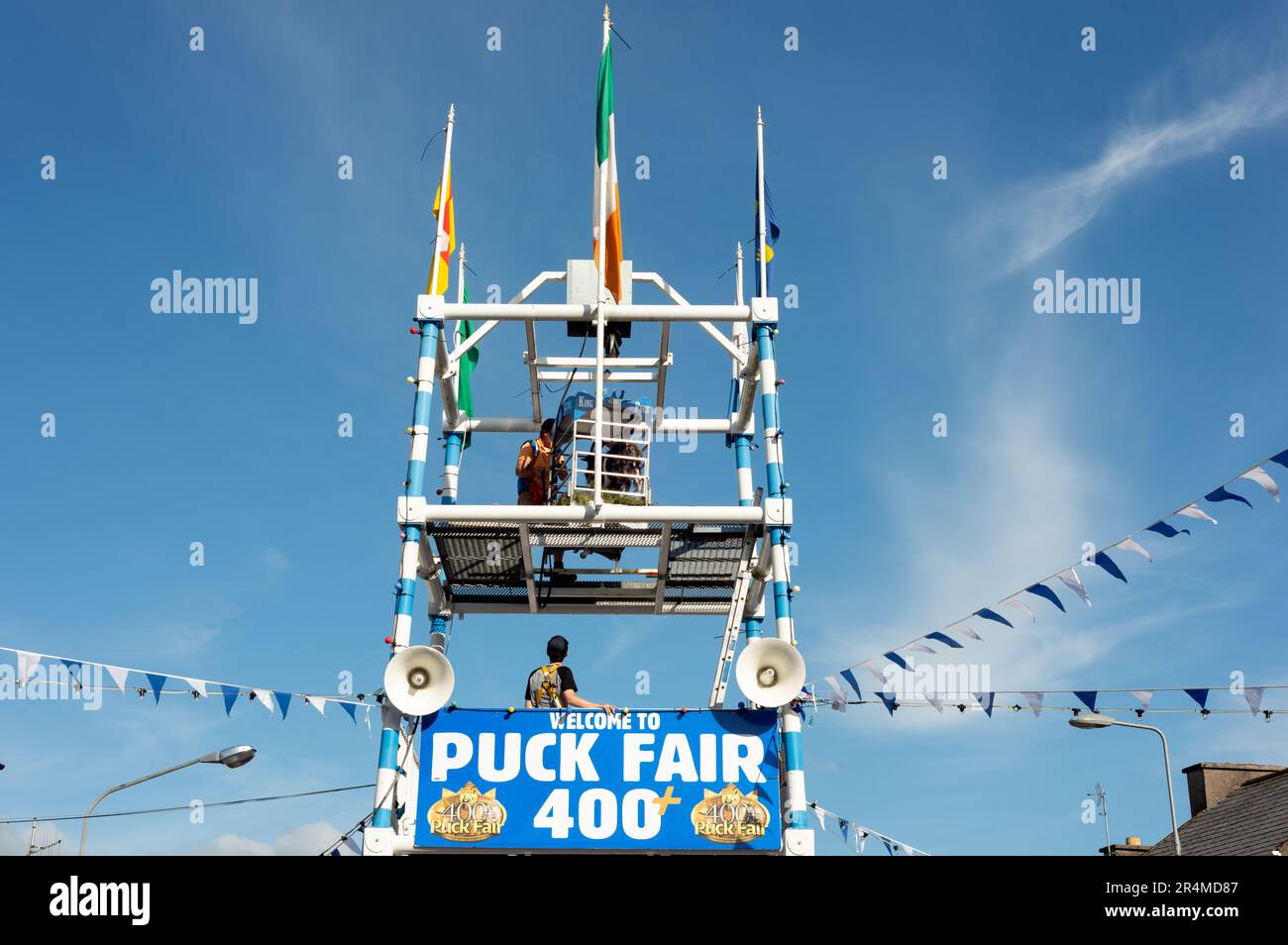 King puck Banque de photographies et d’images à haute résolution - Alamy
