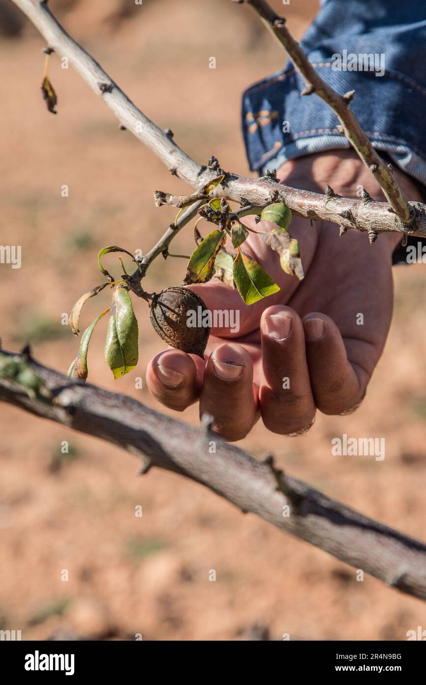Pratique agricole Banque de photographies et d’images à haute ...