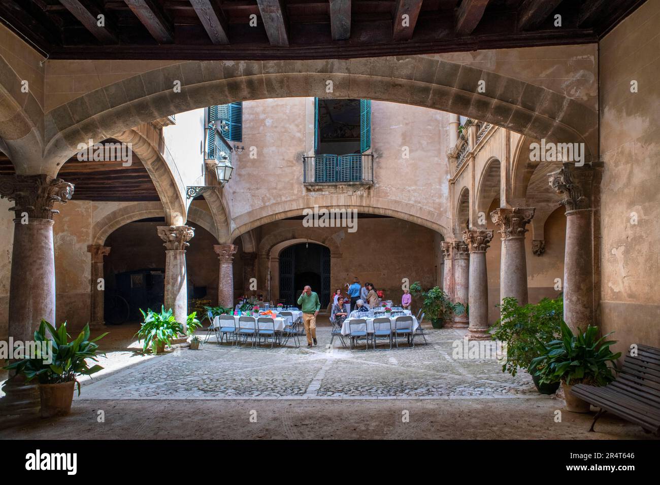 Can vivot majorque Banque de photographies et d’images à haute ...