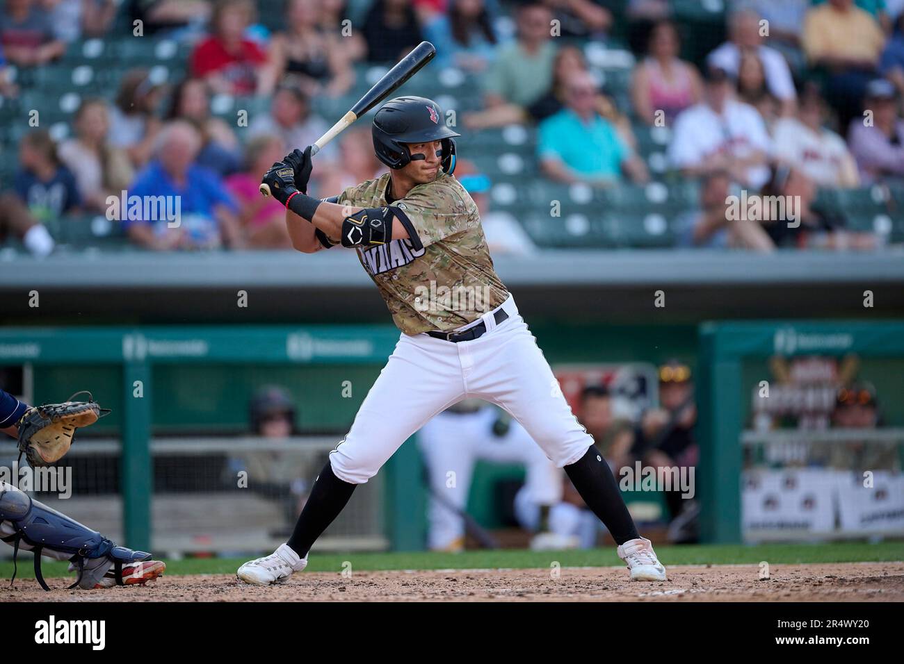 Indianapolis Indians Mark Mathias (6) at bat during an MiLB ...