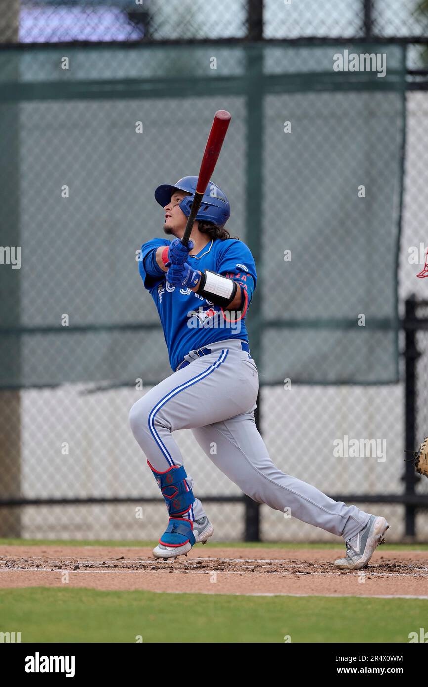 Toronto Blue Jays Luis Meza (79) at bat during an Extended Spring ...