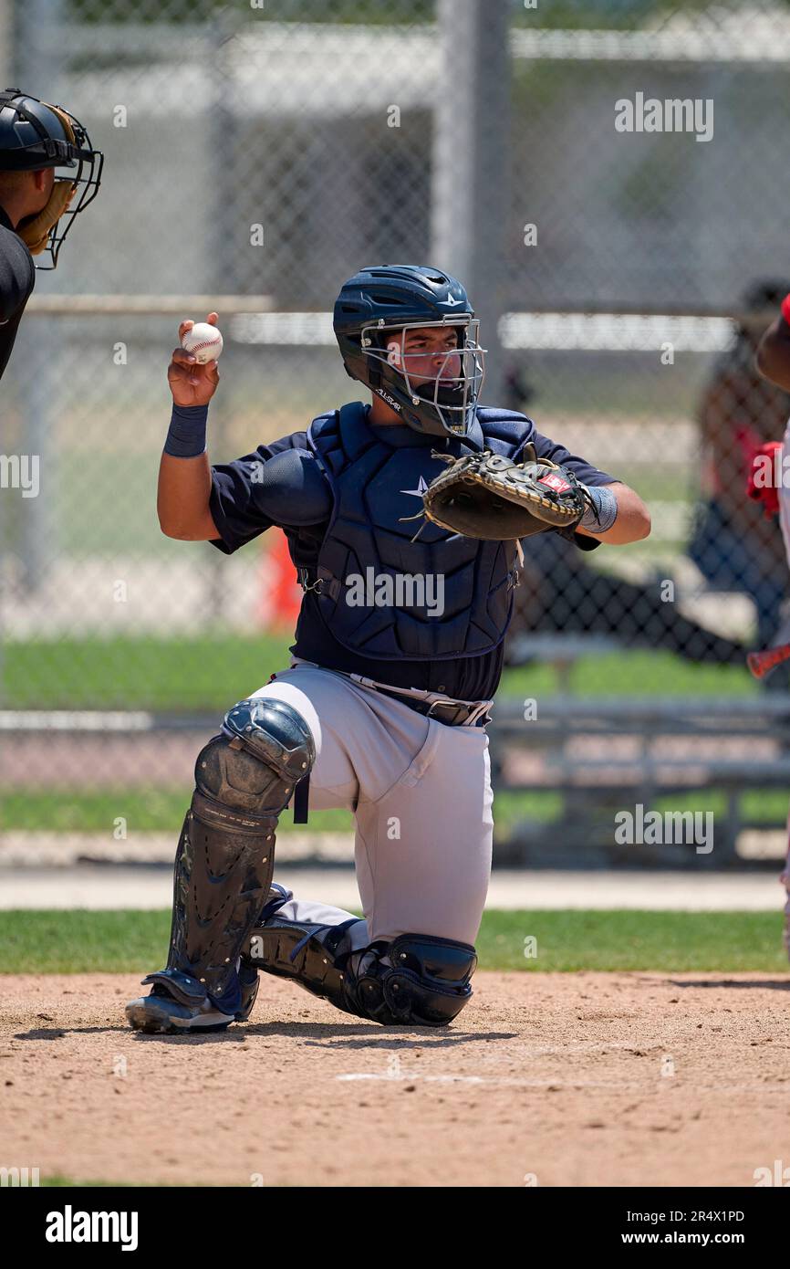 Minnesota Twins catcher Daneil Pena (41) during an Extended Spring ...