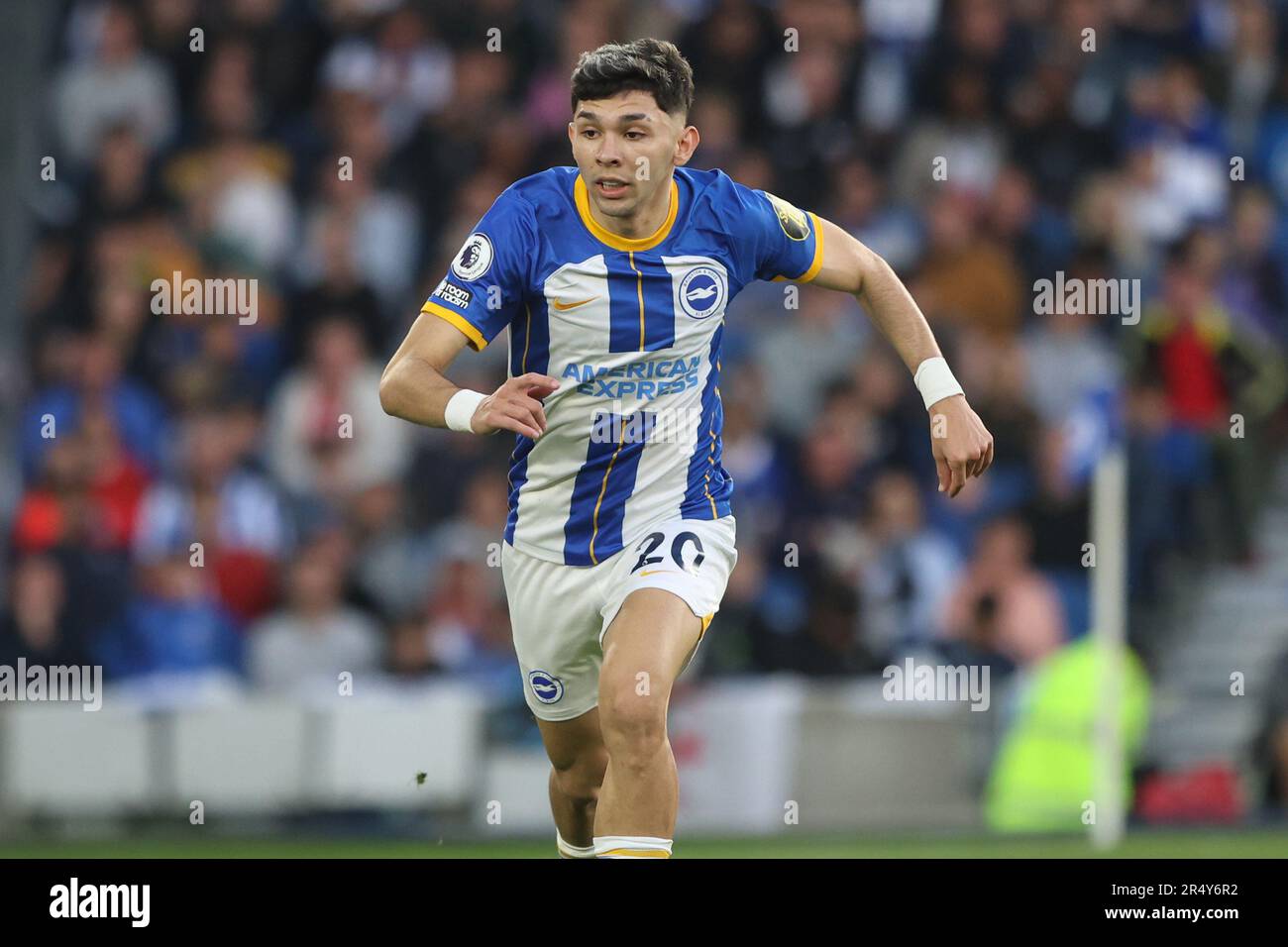 Julio enciso footballeur brighton Banque de photographies et d’images à ...