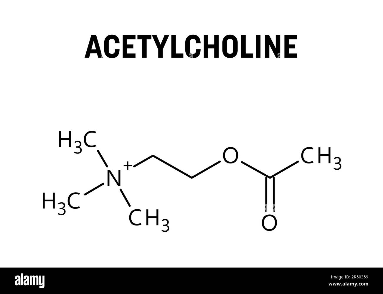 Structure moléculaire de l'acétylcholine. L'acétylcholine est un ...