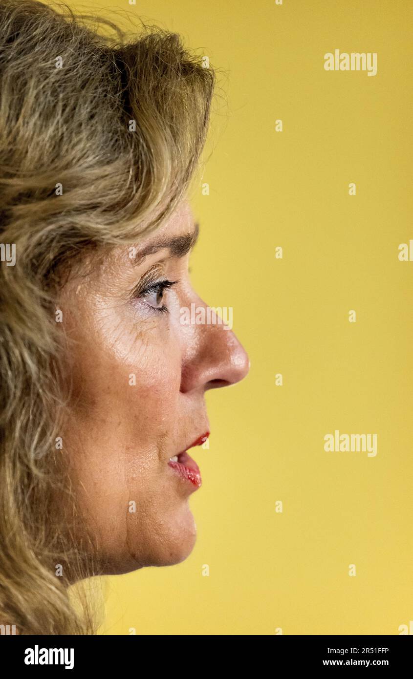 LA HAYE - le Président de la Chambre des représentants Vera Bergkamp ...