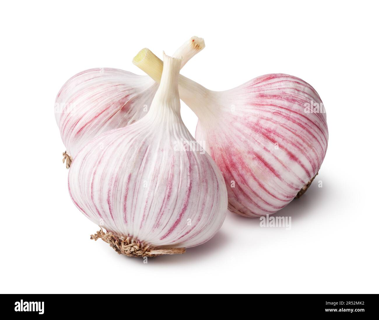 Ail sur fond blanc Banque de photographies et d’images à haute ...