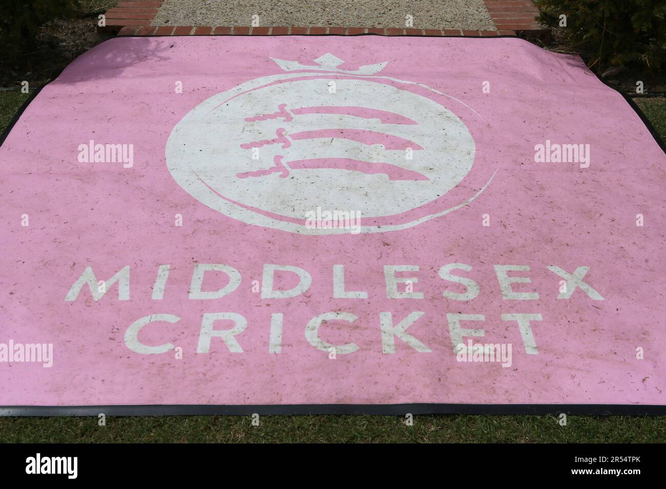 Logo de cricket Banque de photographies et d’images à haute résolution ...